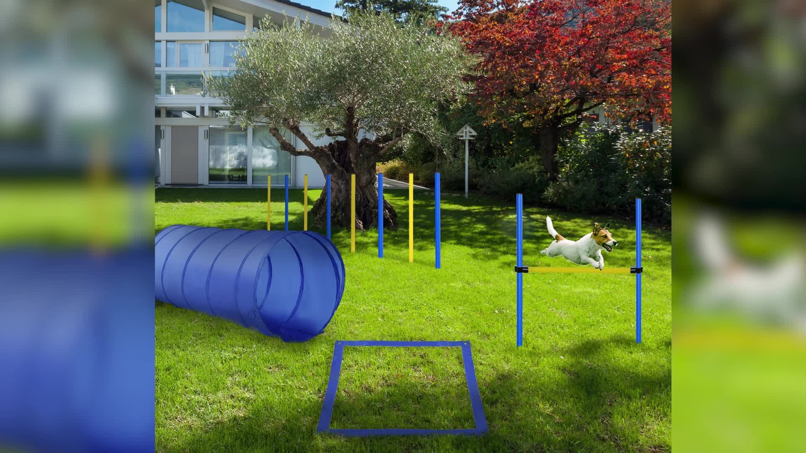 Backyard Dog Agility Training Kit Obstacle Course Equipment Jumps ...