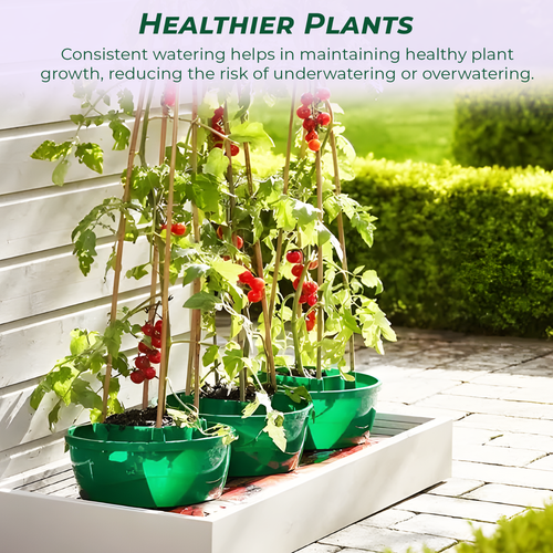 Tomato Plant Halos Pot Grow Bag Watering Plastic Round Tomatos Seed ...