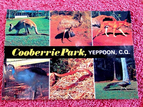 SIX SCENES COOBERRIE PARK YEPPOON CENTRAL QLD COLOUR POSTCARD [342 ...