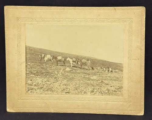 Antique Alaskan Gold Rush Pack Horses Pack Mules Cabinet Photo A | eBay