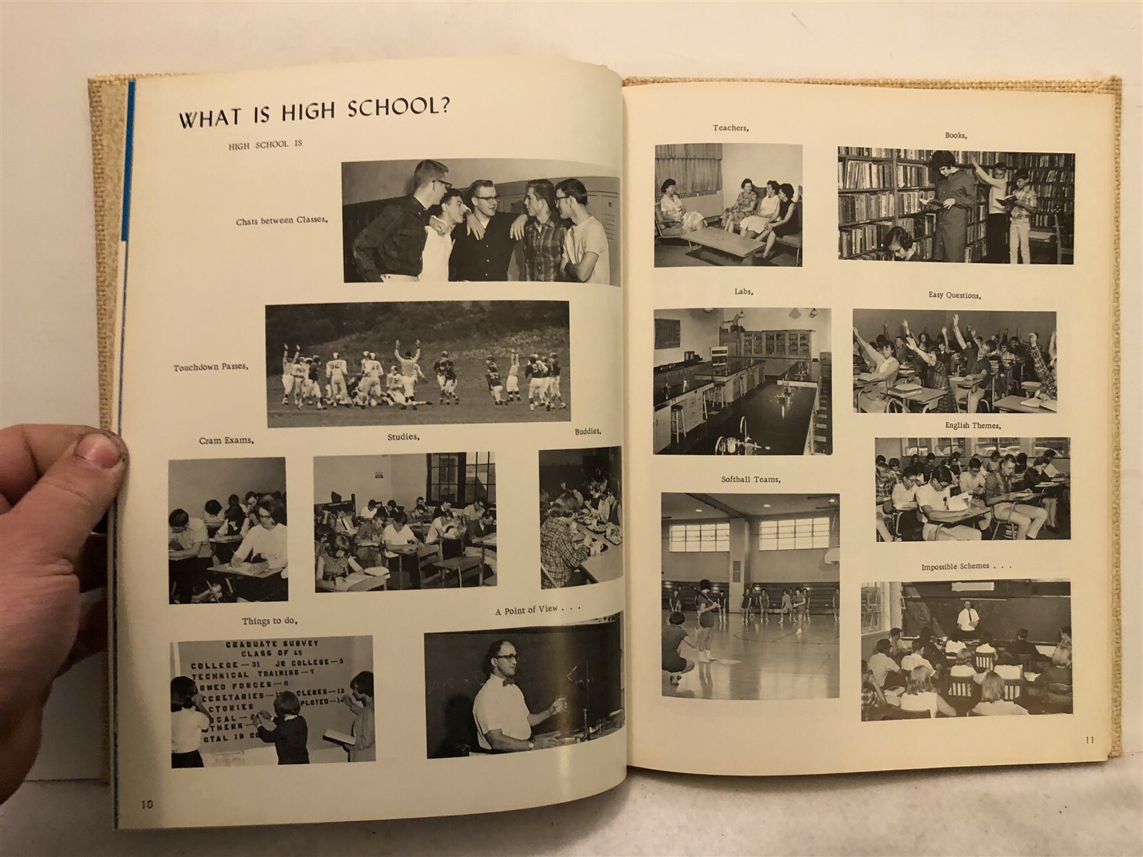 1966 Adams Summerhill High School Annual Yearbook Sidman Forest Hills ...