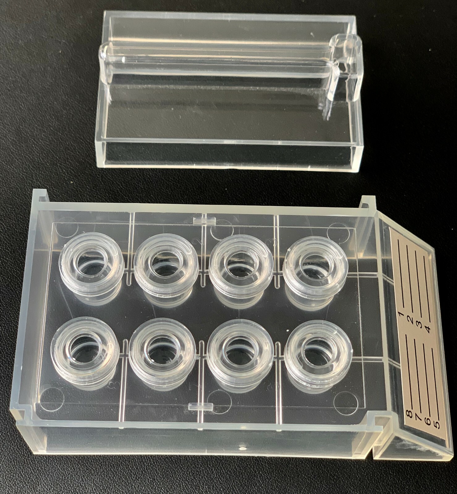 ALLERGY 8-VIAL TRANSLUCENT PLASTIC TRAY | eBay