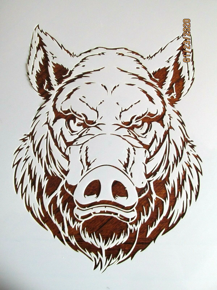 Boar Head Drawing