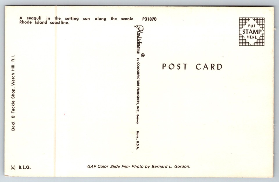 Postcard Seagull in Setting Sun Rhode Island Coastline D7 | eBay