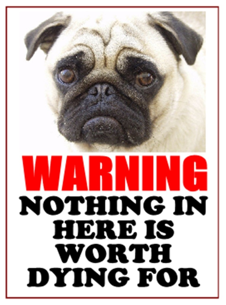 Warning Aluminium Dog Signs - 5 different designs 9 different Dog ...