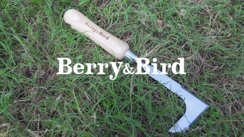 Berry&Bird Crack Weeder Crevice Weeding Tool Stainless Steel Manual ...