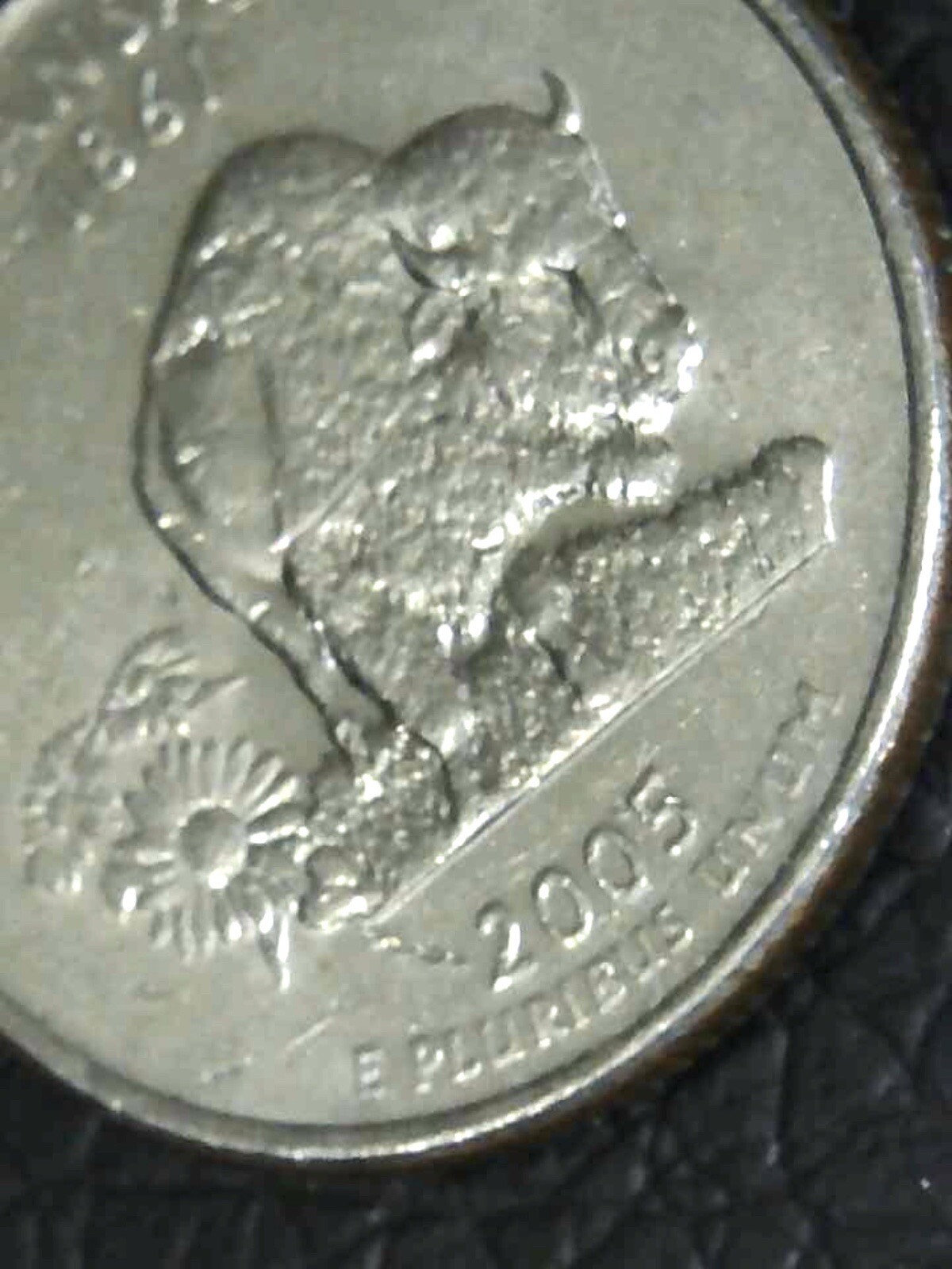 2005-P Kansas Error Quarter Speared Spitting Bison DDO Strike Error ...