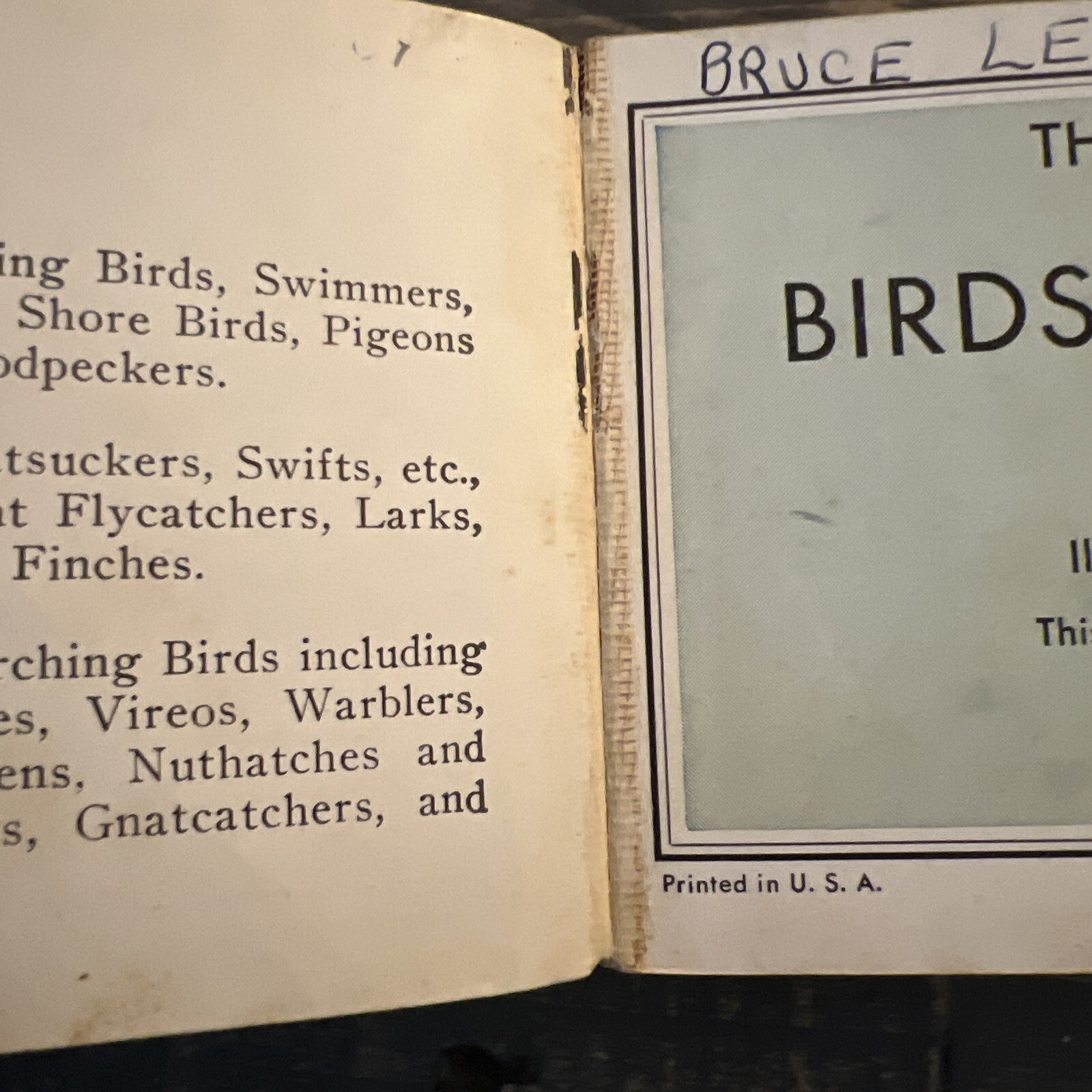 THE GREEN BOOK OF BIRDS OF AMERICA Bird Guide Frank Ashbrook 1931 ...