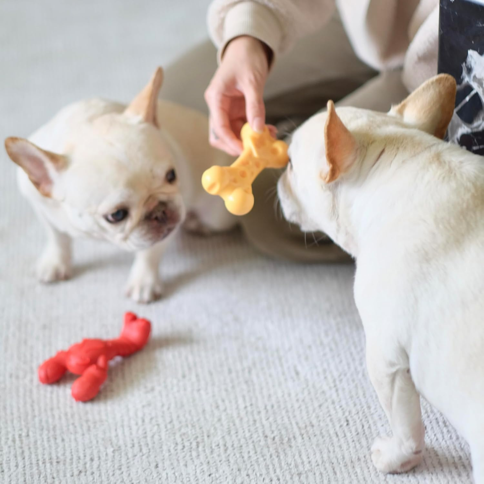 Lobster Power Chew Toy for Dogs, Dog Toys for Aggressive Chewers, Filet ...
