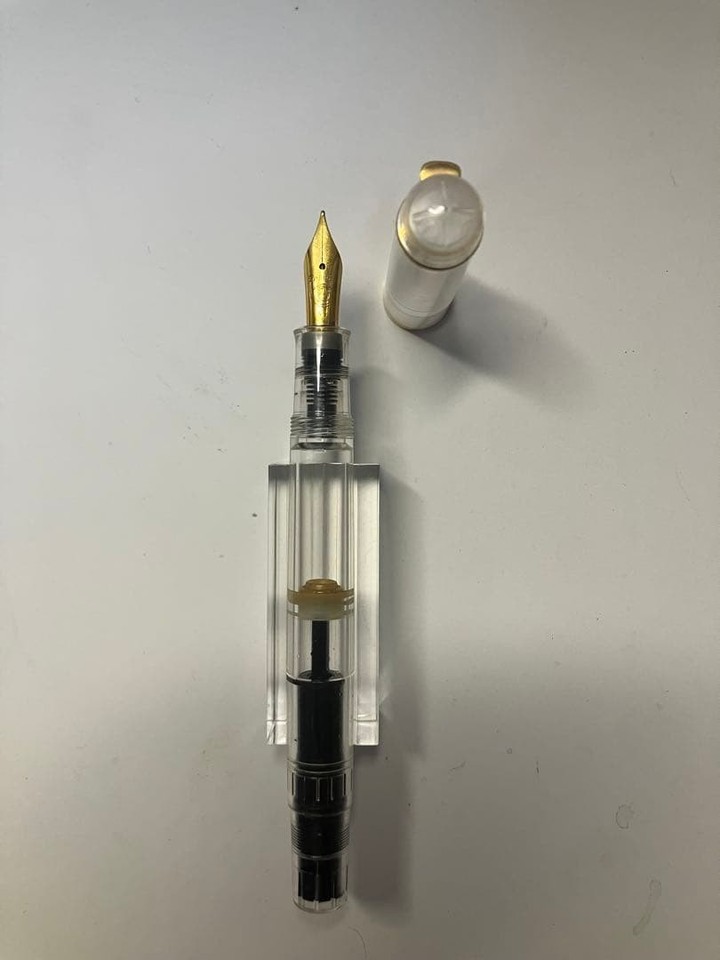 Rare Pelikan Pelikan Fountain Pen P481 Peliske Skeleton | eBay