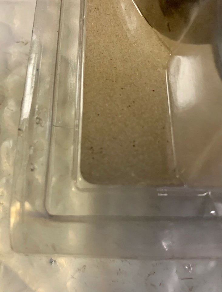 Panasonic RQ-V180 Auto Reverse Walkman Digital Synthesizer Tuner AM/FM ...