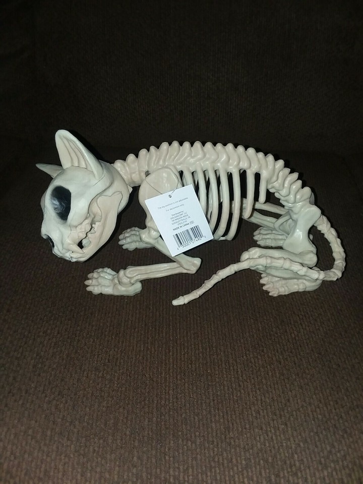 NEW Halloween CAT Skeleton Prop Sitting Halloween MOVEABLE 12" Long ...