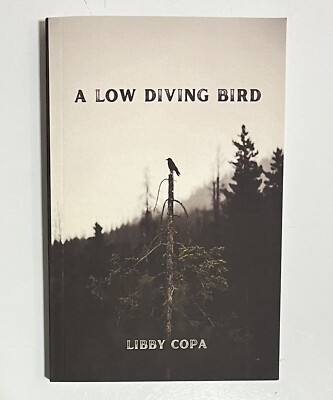 Libby Copa A Low Diving Bird (Paperback) 9781735118352 | eBay