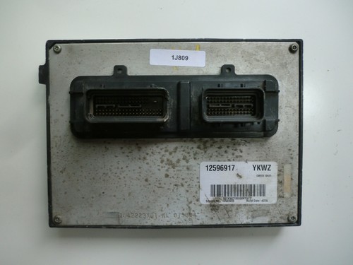12596917 (YKWZ) | GM OEM ENGINE CONTROL MODULE UNIT ECU ECM PCM **see ...