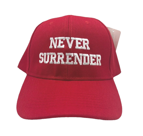 Never Surrender USA Trump President 2024 MAGA | eBay