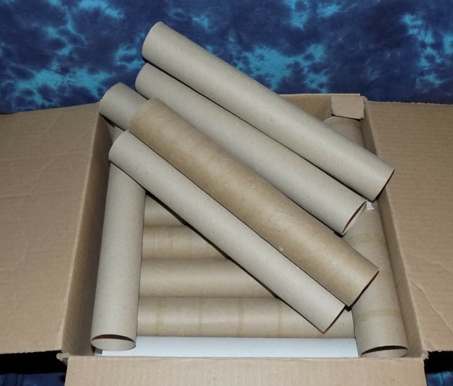 15-empty-cardboard-paper-towel-roll-tubes-craft-school-project-clean-1