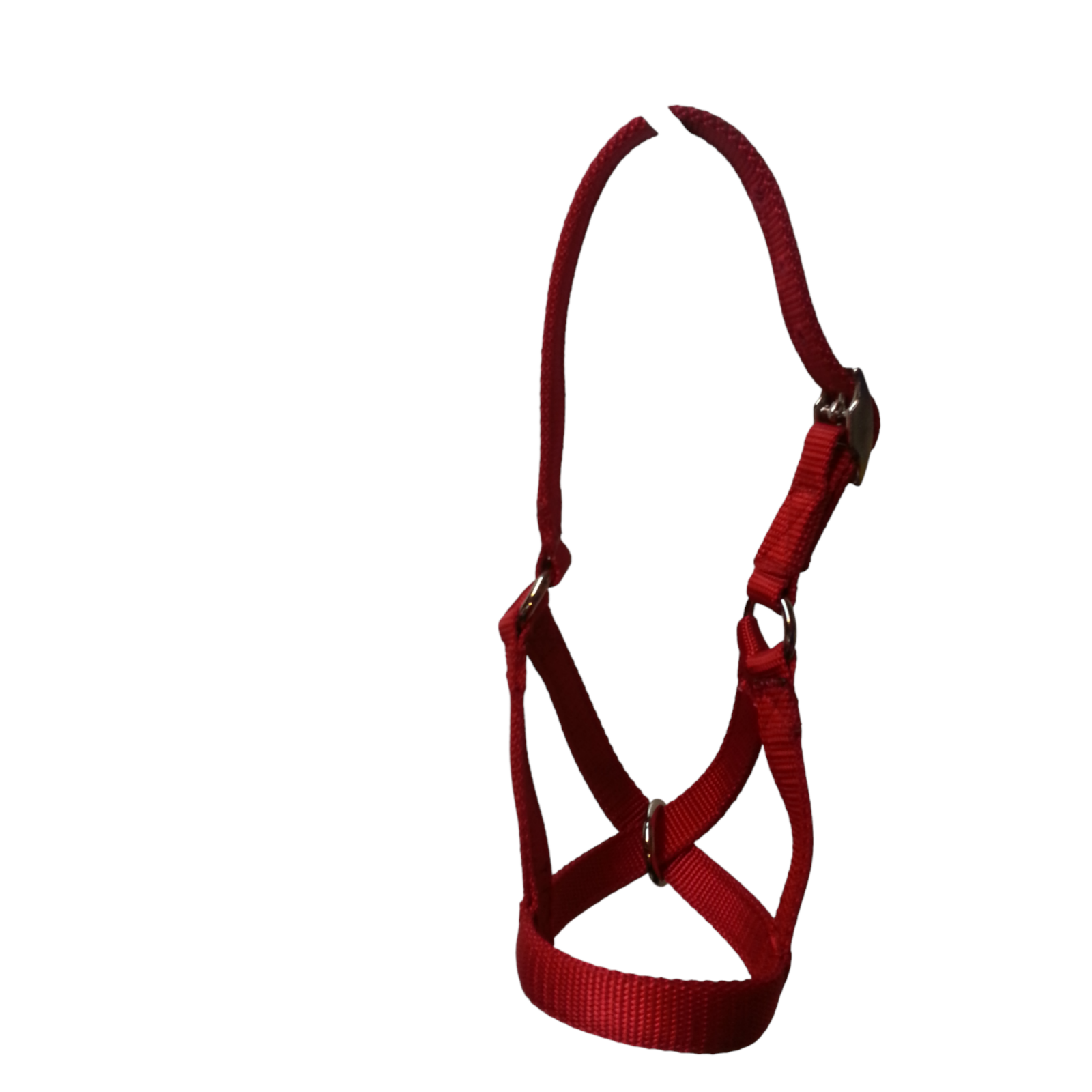 Cow, Bull, Yearling, Calf, Newborn Cattle Halter Handmade USA | eBay