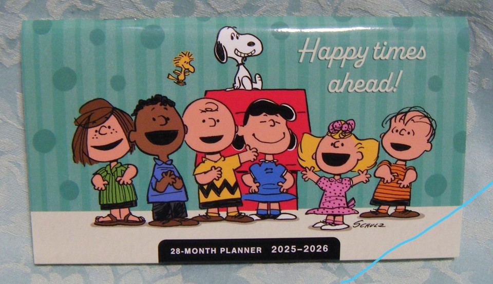 Dayspring PEANUTS 2-Year 28 Monthly Day Planner Calendar 2025-2026 New ...