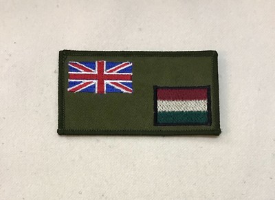 RDG Zap Number & Blood Group Badge, Royal Dragoon Guards, Army Patch ...