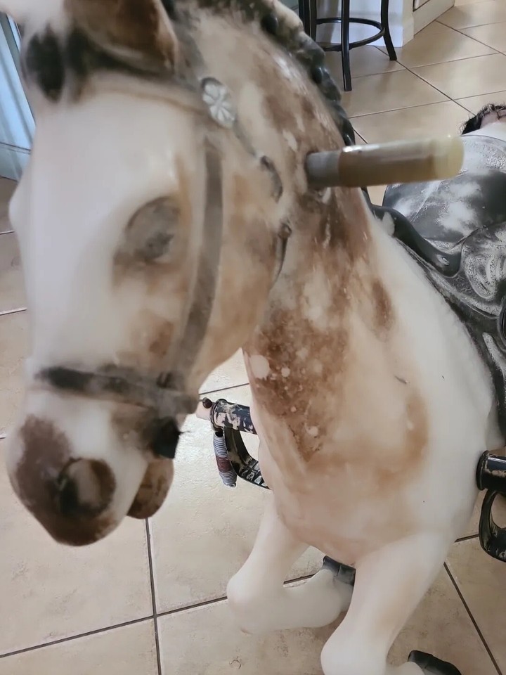 Vintage Wind Dancer Spring Rocking Bounce Ride Horse Blow Mold Parts Or ...