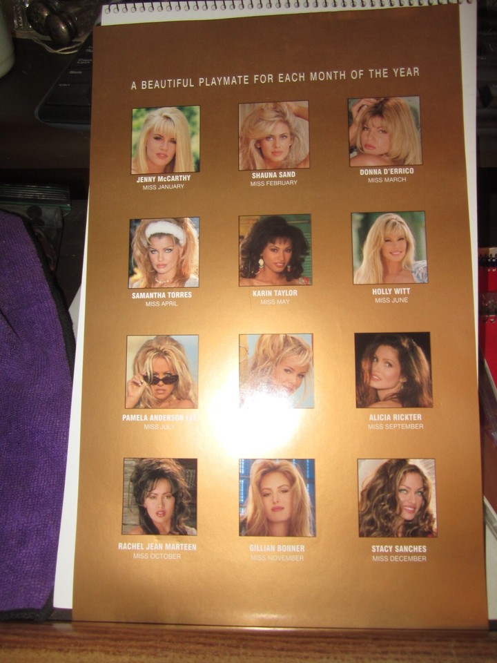 Playboy Playmate Wall Calendar 1997 Stacy Sanches, Pamela Anderson NEW ...