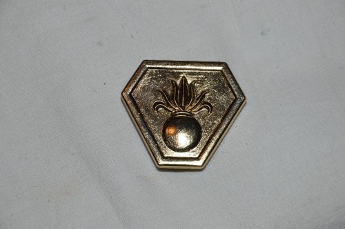 INSIGNE LEGION ETRANGERE CEF ITALIE (1942-1943) RETIRAGE DRAGO PARIS ...