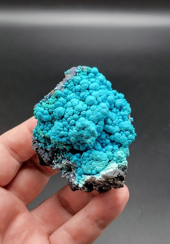 Vibrant Chrysocolla - Planet Mine, Santa Maria Mining Dist., La Paz Co ...