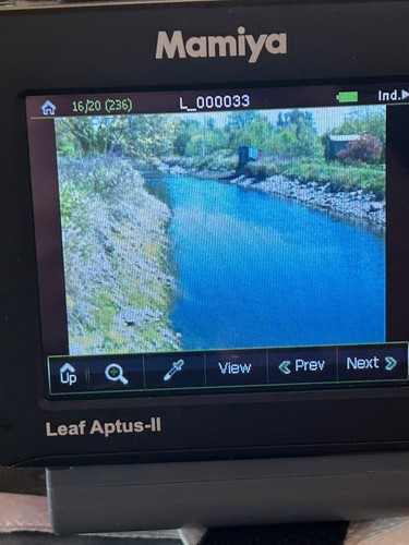 Hasselblad V System Mamiya Leaf Aptus II x11 22mp back works great back ...