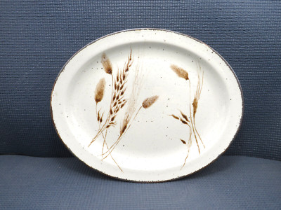 Midwinter China Wild Oats Pattern Stonehenge Small Oval Serving Platter ...
