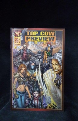 Top Cow Preview #1 2005 Top Cow Comic Book | eBay
