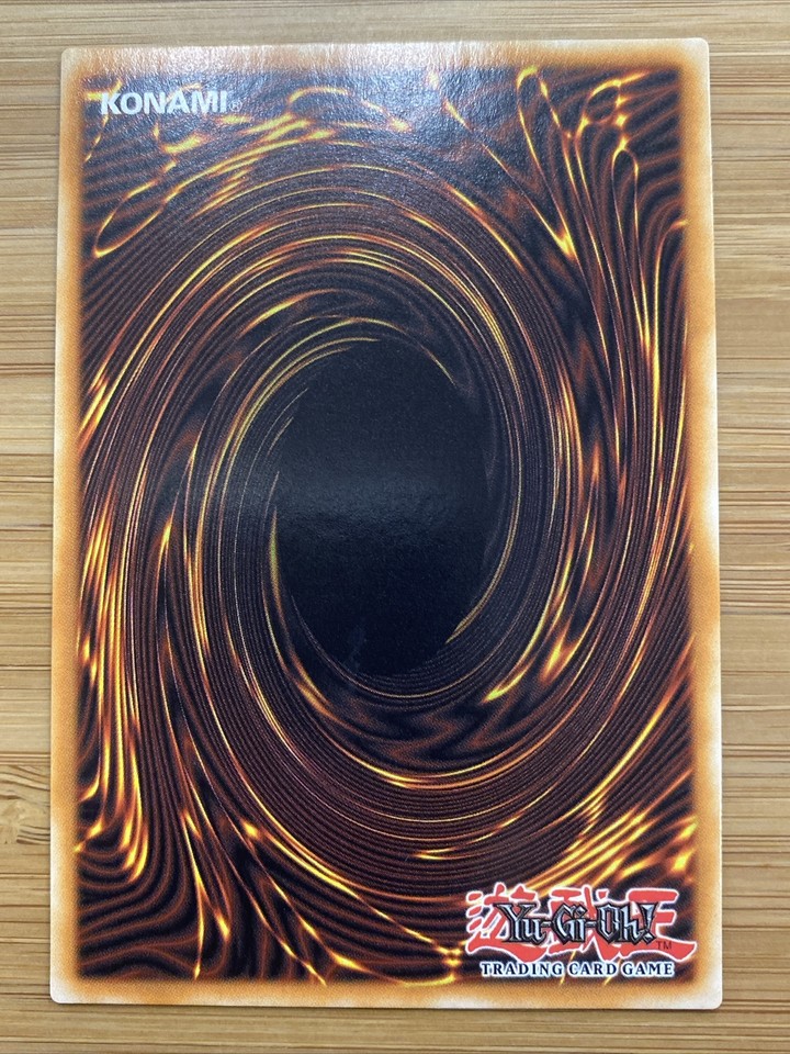 Yu-Gi-Oh! Toon Harpie Lady Collector's Rare TOCH-EN002 NM/M - 1st ...