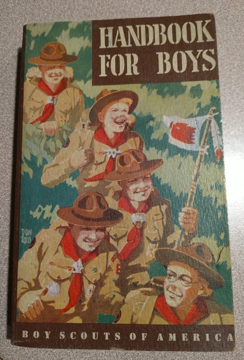 Used Boy Scout Books