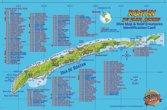 Franko Maps Roatan Honduras Dive Map & Reef Creatures Guide Laminated ...
