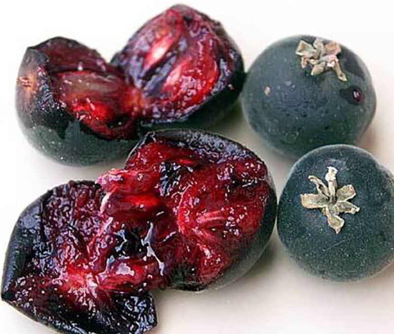 Dovyalis hebecarpa, Ceylon-Barbed Berry, Ceylon Gooseberry - 15 Se eds ...