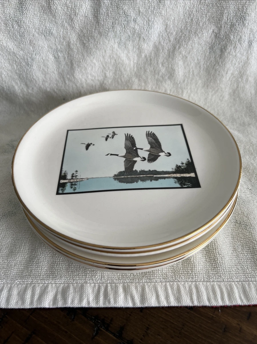 Unused Designs Shape