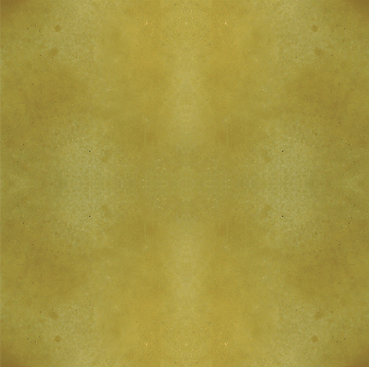 Concrete Resurrection Reactive Acid Concrete Stain 12 Bottle Sample Kit ...