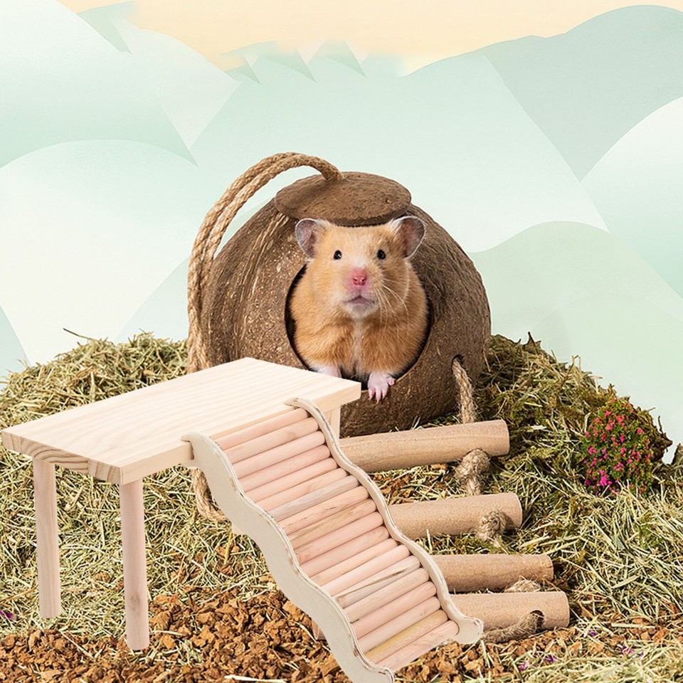 Hamster Cage Toys Staircase High Stand for Hamsters Travel Playing ...