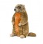 Marmot Groundhog Woodchuck Stuffed Animal Plush Yellow Bellied for sale ...