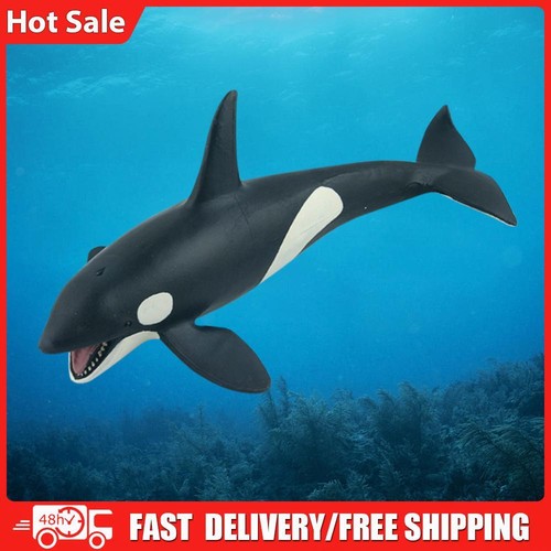 Simulation Whale Figures Solid PVC Beluga Whale Statue Safety for ...