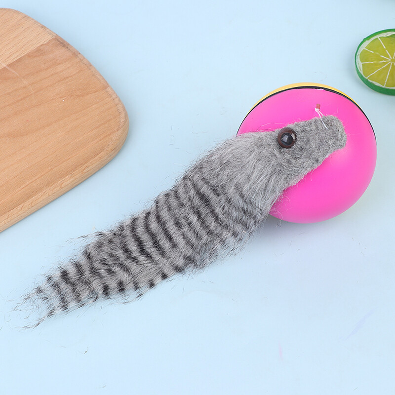 Pet Dog Cat Toy Weasel Motorized Funny Rolling Ball Beaver Balls pet ...