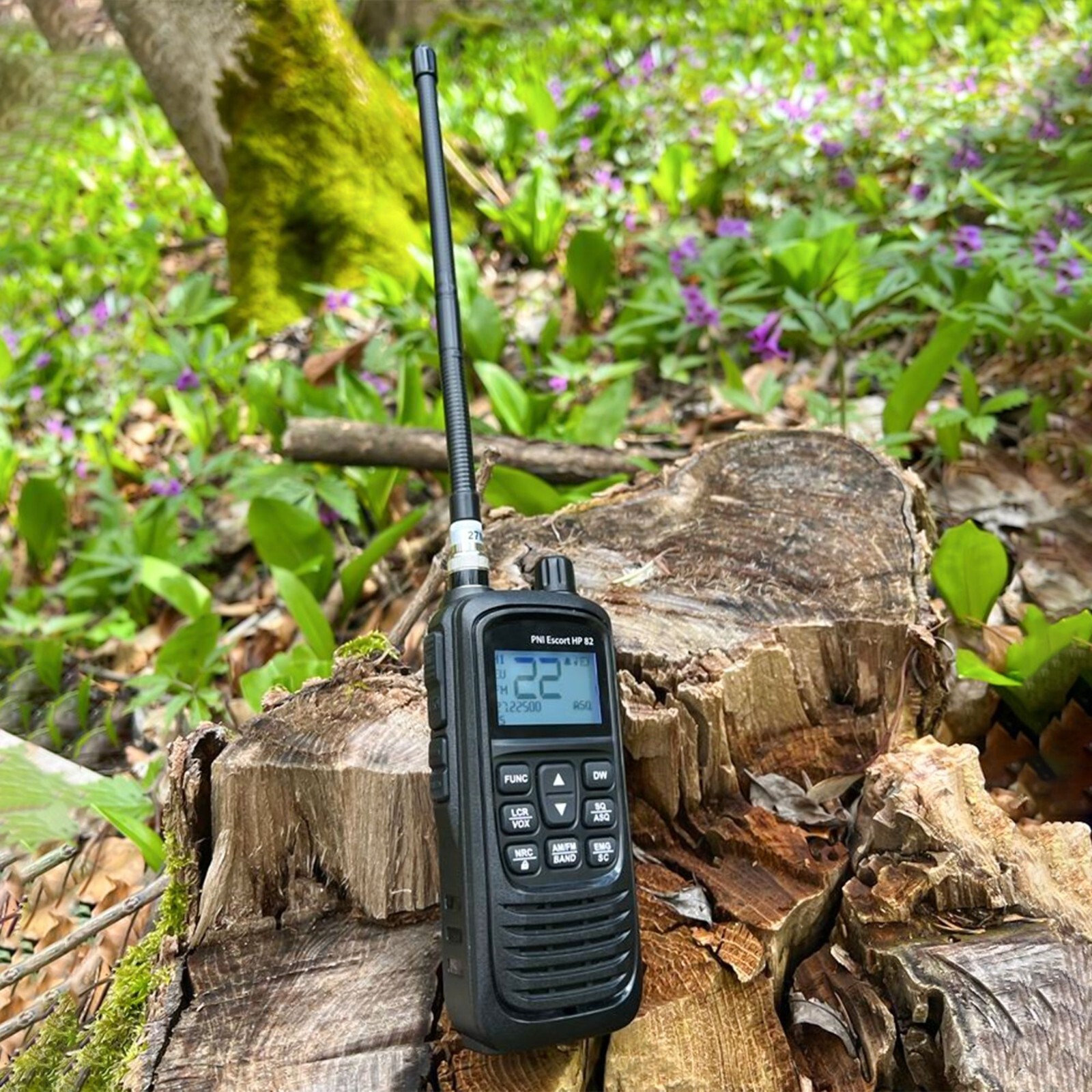 hand-held CB radio PNI HP 82, multi standard, 4W, 12V, AM-FM, NRC ...