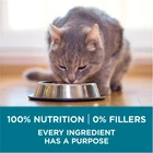 Purina ONE Tender Select Blends Dry Cat Food, Chicken, 22 lb Bag | eBay