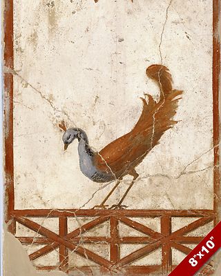 ANCIENT ROMAN PEACOCK BIRD FRESCO ROME PAINTING HISTORY ART REAL CANVAS ...
