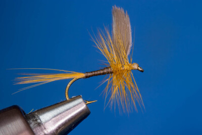 Flies - Ginger Quill