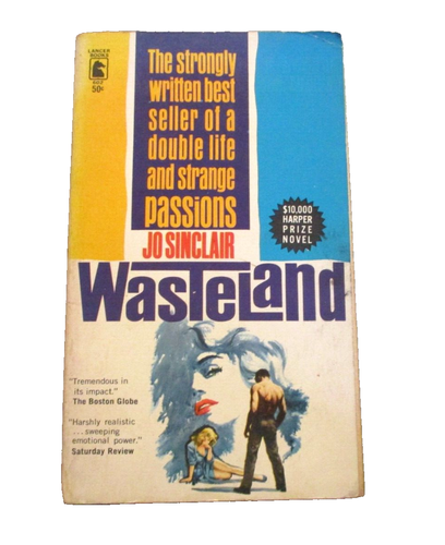 Wasteland by Jo Sinclair vintage 1946 paperback book | eBay