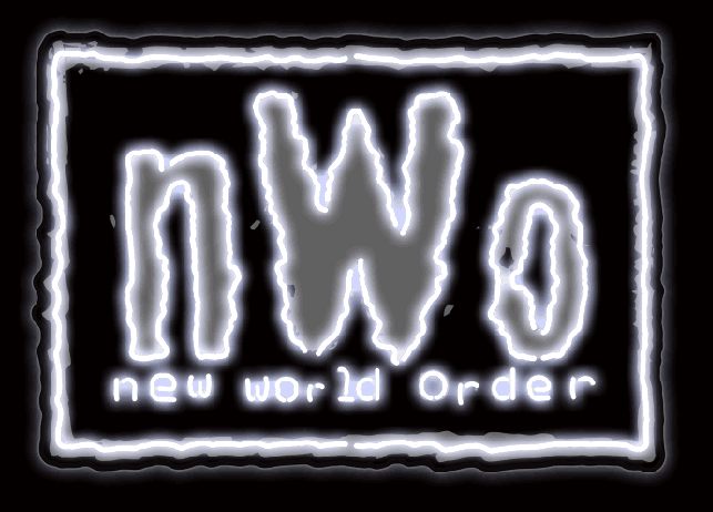Nwo Logo Silver Black