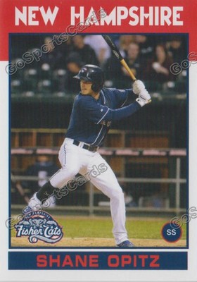 2016 New Hampshire Fisher Cats Shane Opitz RC Rookie Blue Jays | eBay