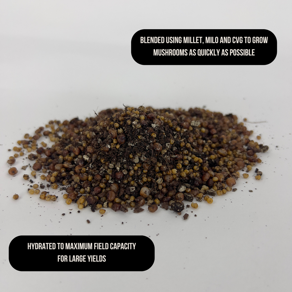 1.5Kg Magic Myc® All In One Mushroom Grow Bag – Inject & Forget | eBay UK