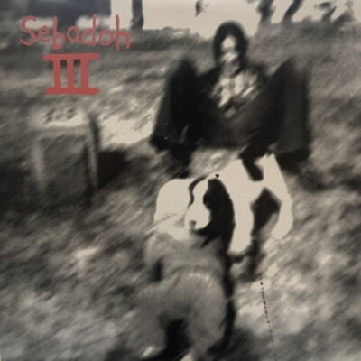 Sebadoh/3 HMS1681 Used LP | eBay