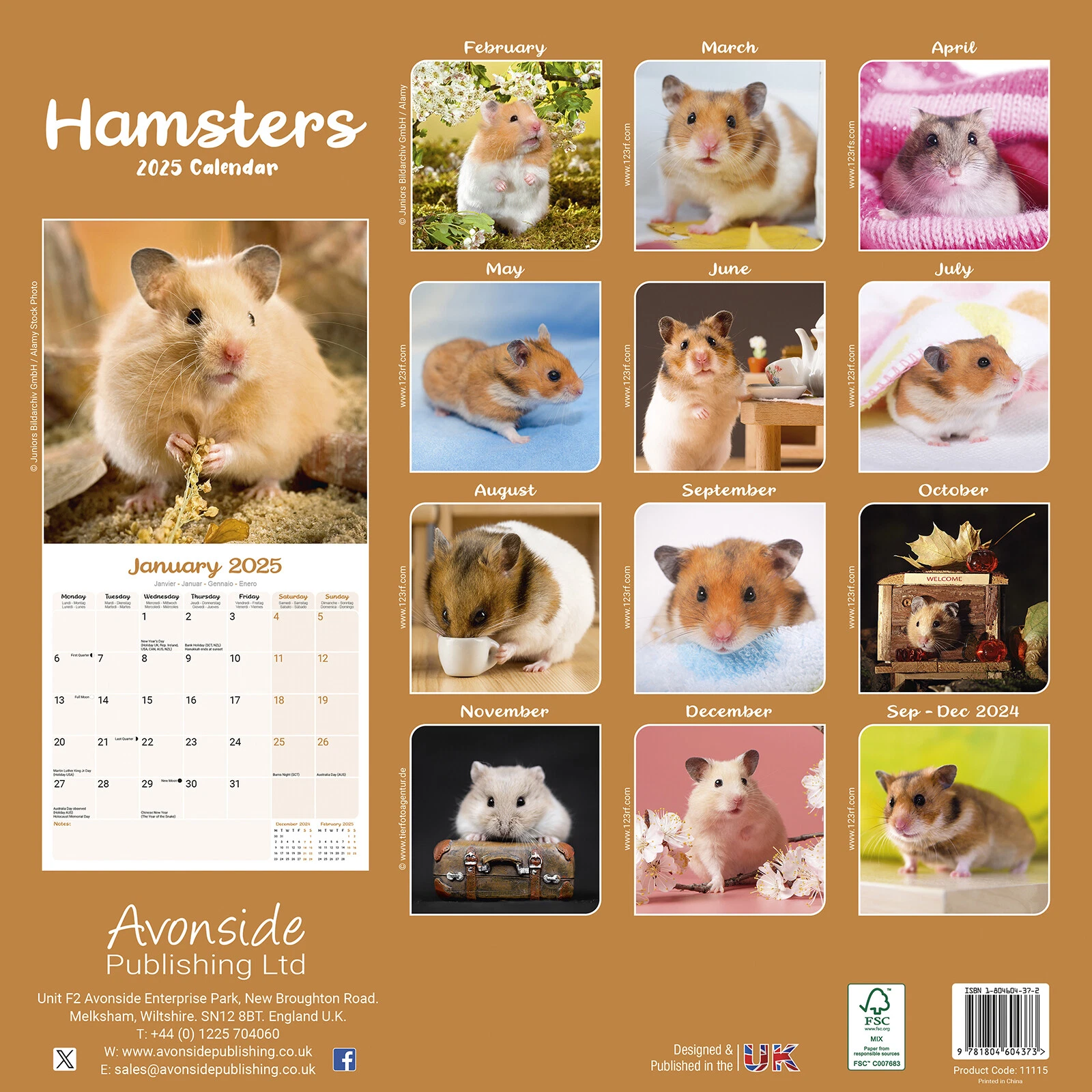 Hamsters Calendar 2025 Gift Wall Calendar 15% OFF MULTI ORDERS | ID ...